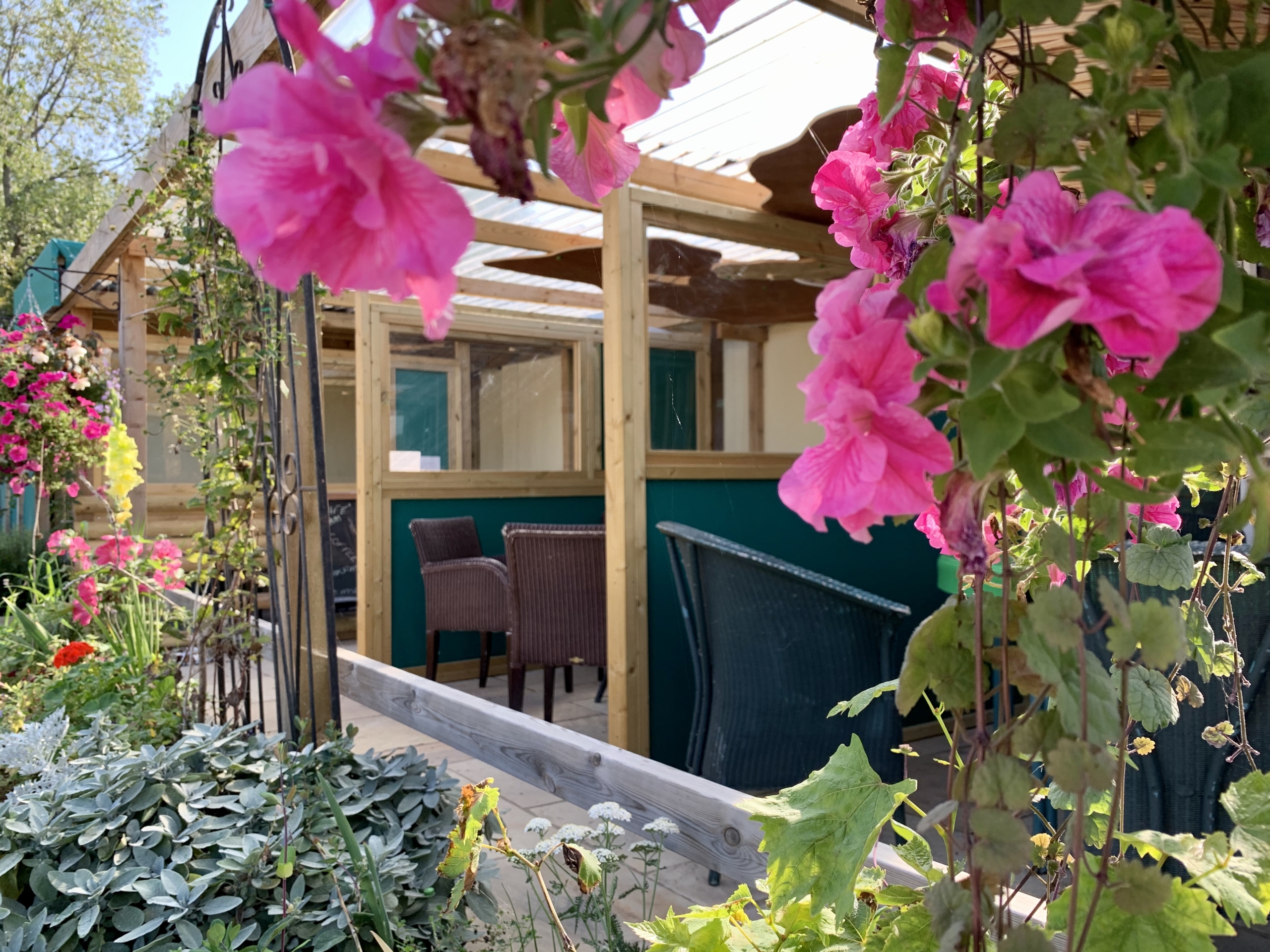 Cafe flowers – Magic Beans Cafe